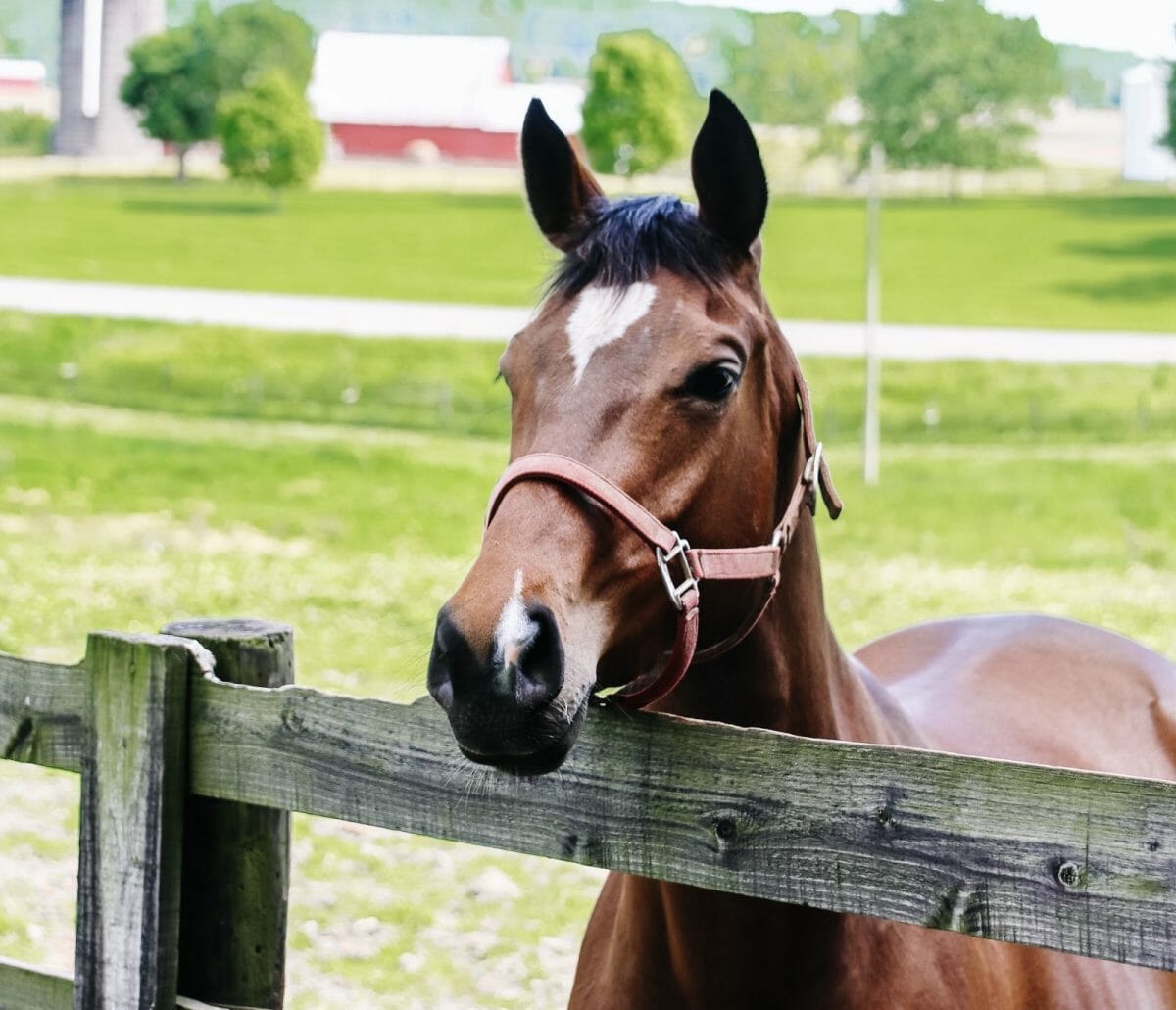 Hart County Kentucky Itinerary - JCP Eats